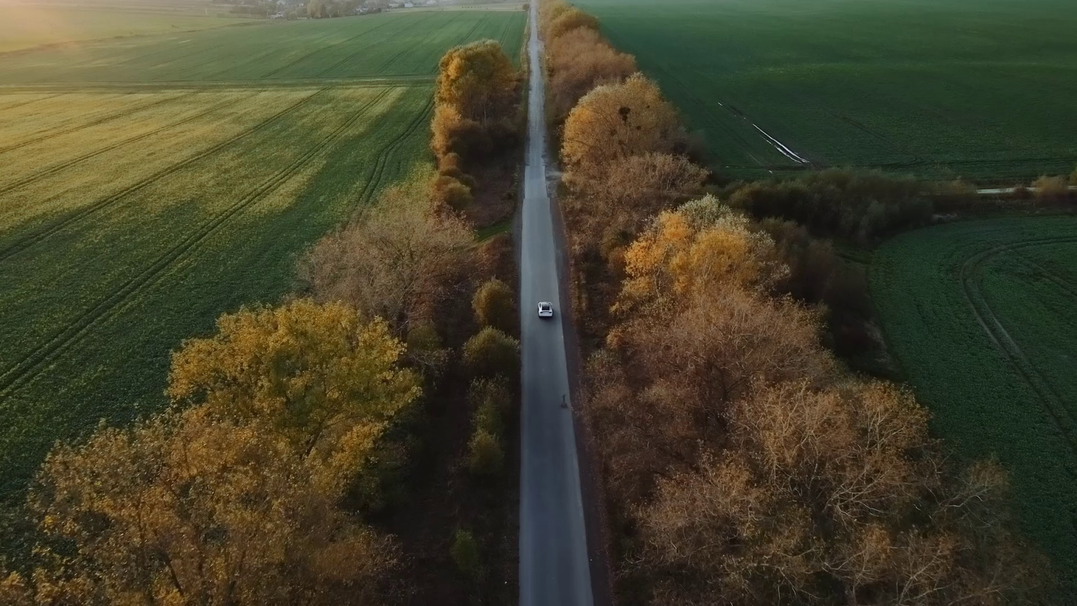 Knowledge Hub | OpenLoop